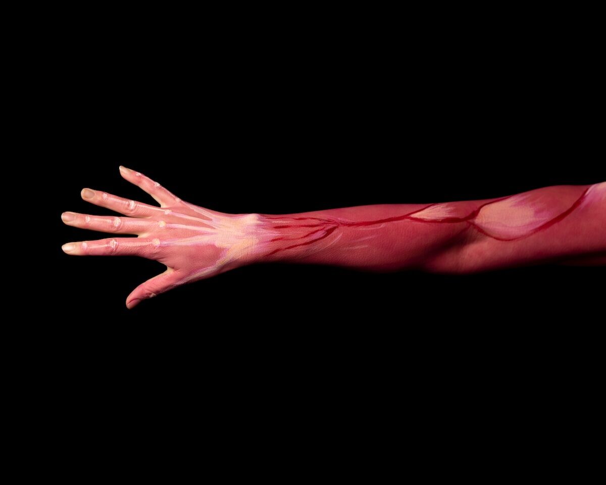 The Importance Of Anatomy To The Dry Needling Practice the-importance-of-anatomy-to-the-dry-needling-practice